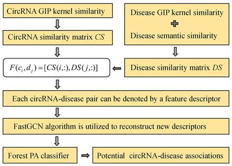 the flow diagram of gcnmda to predict potential circrna disease