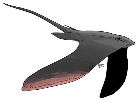 Sailwing Legends Of The Aether Wiki Fandom