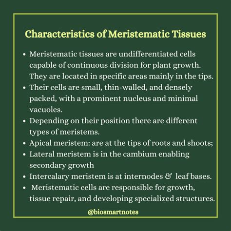 Characteristics Of Meristematic Tissues