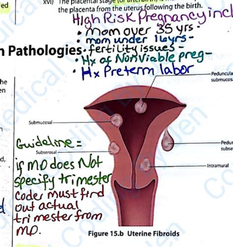 Icd10 Pregnancy Scenario Diagnosis Notes Icd 10 Cm Pregnancy Section Cpc Aapc Ahima Icd10cm Exam