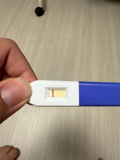 임신테스트 했는데 결과봐주세요 ㅜㅜ 지식in