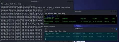 Getting Started With Docker On Kali Linux A Complete Guide InfosecScout