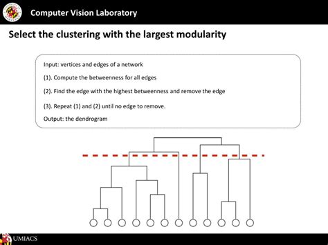 Ppt Modularity Clustering Explained Hierarchical Tree Analysis
