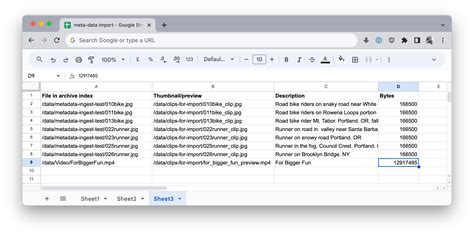 P5 Archive Importing Metadata Thumbnails And Proxies Into Archive
