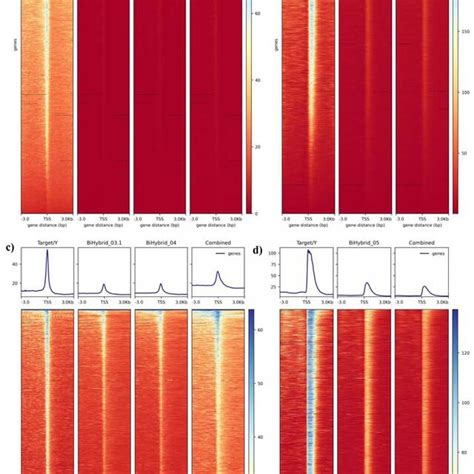 Experimental And Predicted Atac And Chip Seq Coverage 3 Kbp Around Download Scientific
