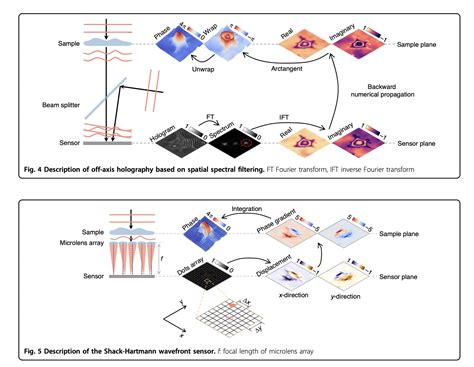 Can Deep Learning Revolutionize Phase Recovery This Review Paper