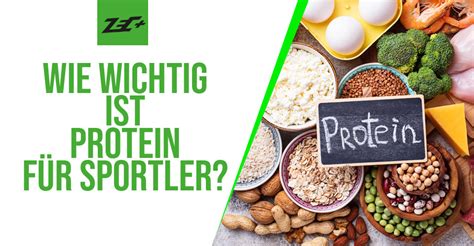Wie wichtig ist Eiweiß wirklich für Sportler? - Zec+