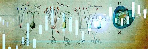 Tall Order Why A Unified Op Risk Taxonomy Is Still Elusive