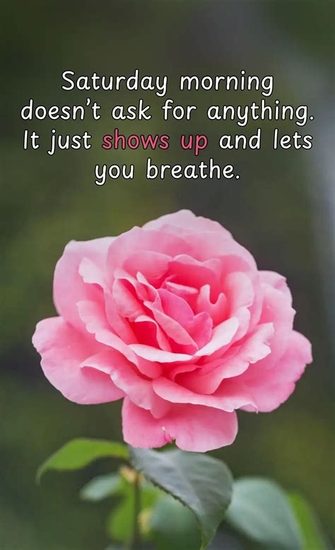 30 Saturday Morning Quotes For Cozy Starts