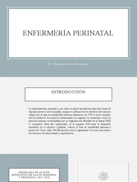 Enfermería Perinatal Pdf Parto El Embarazo