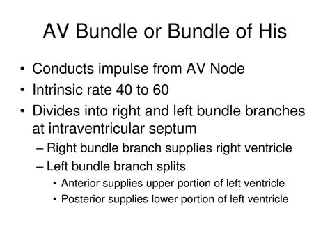 Ppt Basic Principles Of The Cardiovascular System Powerpoint