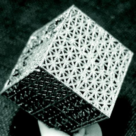 Bone Nanostructure Revealed By Electron Microscopy