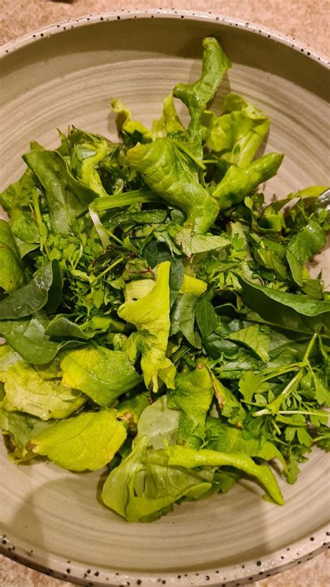 Arduino Based Dwc Update 2 R Hydroponics