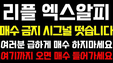 리플 Xrp 엑스알피 코인 매수금지 시그널 떳다 비트코인 이더리움 솔라나 헤데라 일론머스크 도지코인 트럼프 Youtube