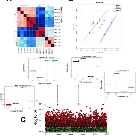 Cluster Analysis A Hierarchical Cluster Analysis And Heat Map Of