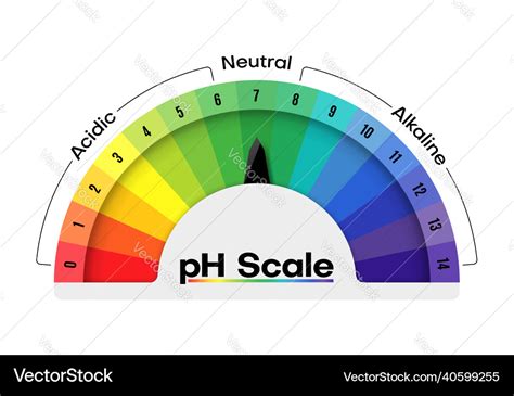 Ph scale value meter or diet acids measure chart Vector Image