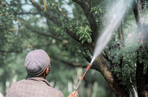 Какво е умен град и има ли приложение в България Климатека Науката за климата на твоя език