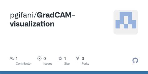 GitHub Pgifani GradCAM Visualization