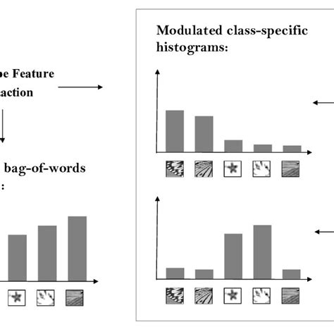 Top Down Control Of Visual Attention Based On Color In Standard