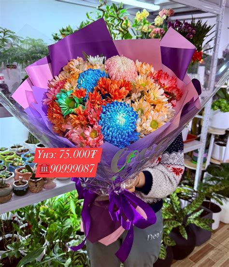 Цэцэгчин Ээжүүд таримал цэцгийн дэлгүүр Цэцэгт мэндчилгээ Цэцэг хүргэлт Цэцэгчин Ээжүүд