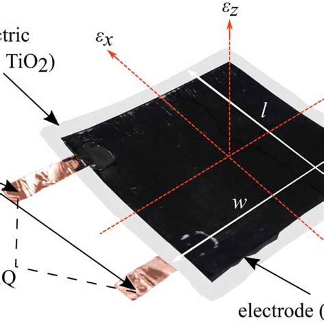 Sensing Principle For A Single SEC Showing The Schematic Of The SEC Download Scientific Diagram
