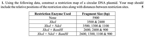 Using The Following Data Construct A Restriction Map Of A Circular DNA Plasmid Your Map