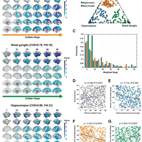 Mri Based Progression Subtypes In Focal Epilepsy Discovery Cohort The Download Scientific