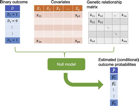 Binomirare A Robust Test For Association Of A Rare Genetic Variant With A Binary Outcome For