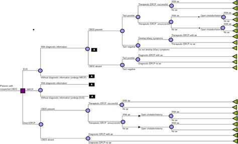 Decision Tree Model Structure Description Of The Decision Tree Options