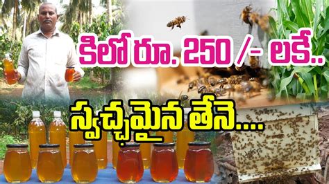తేనె పెట్టెలతో రైతుకు ఆదాయం యువతకు స్వయం ఉపాది పంటలలో నాణ్యత దిగుబడి పెరుగుదల సాధ్యం Youtube