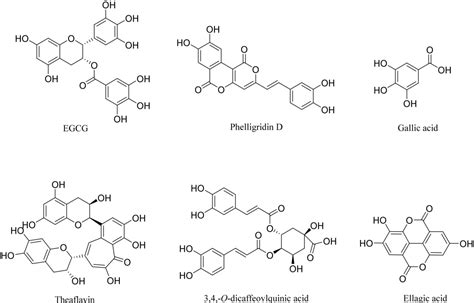 Figure 1 From Design And Evaluation Of Novel Hiv 1 Protease Inhibitors