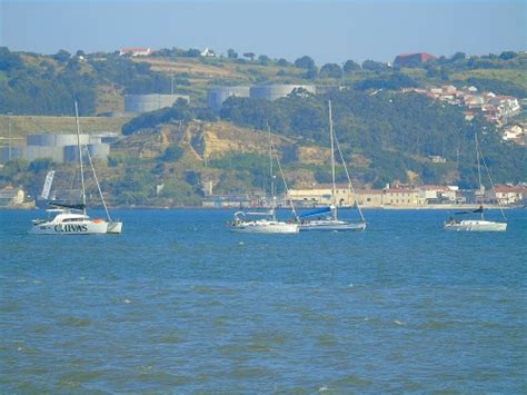 Um Jeito Manso O Rio Corre Dentro De Mim