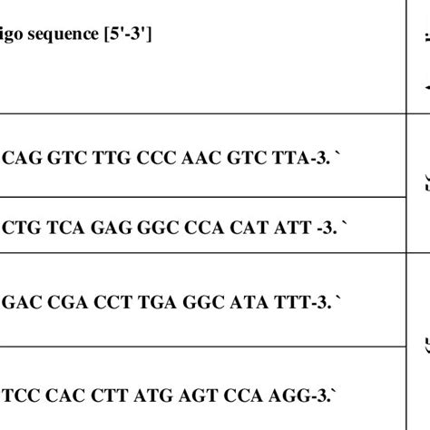 Primers Used For Detection Of Hbv Core Gene Download Scientific Diagram