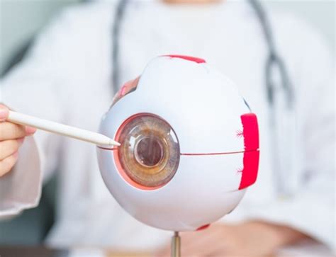 Conjunctivitis Vs Blepharitis Understanding The Differences Reno Eye Care Professionals