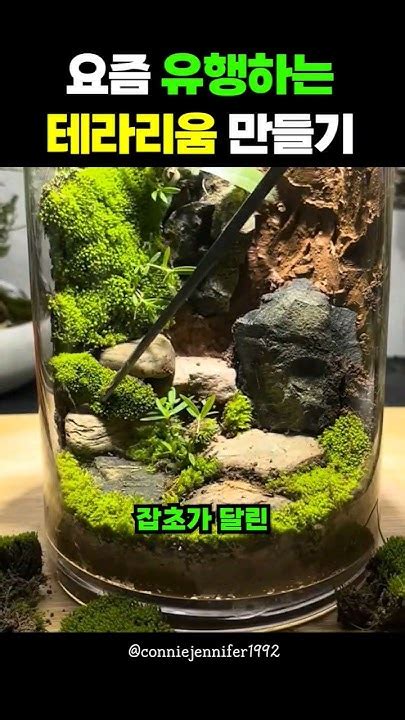 유행하는 테라리움 만드는 법 Youtube