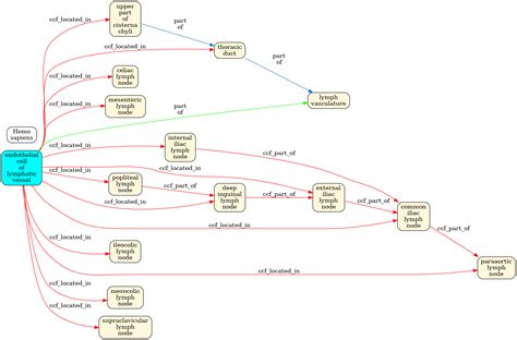 ASCT B As Graph ASCT B Validation Reports