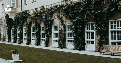 벽에 녹색 담쟁이덩굴이 자라는 흰색 콘크리트 건물 사진 Unsplash의 무료 뮌헨 이미지