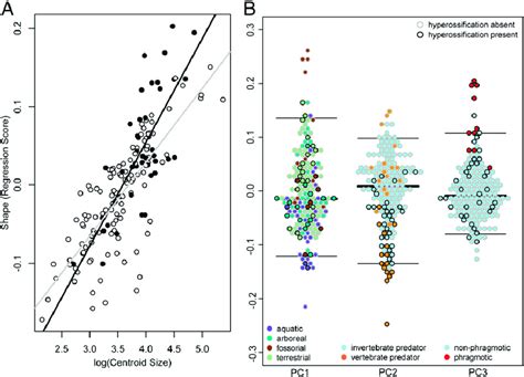 A Multivariate Regression Between Skull Shape Regscore And Skull