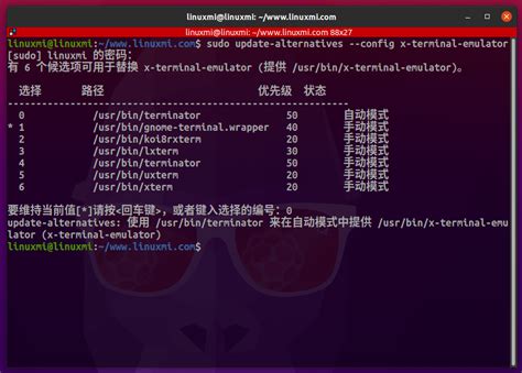 ubuntu 20 04下更改默认终端为terminator linux迷
