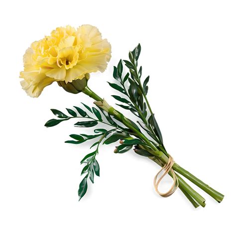 Download Yellow Carnation Arrangement Png Kcm