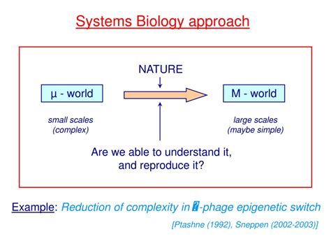 Ppt Stochastic Dynamics Modeling In Complex Biological Networks Powerpoint Presentation Id