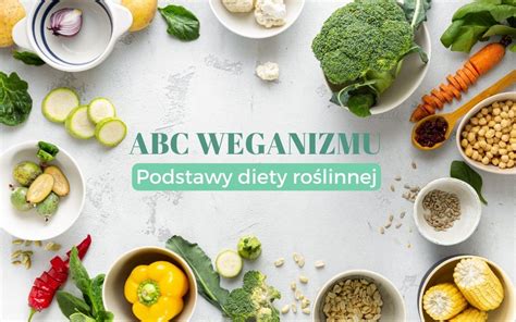 Zostań Wege Abc Weganizmu Podstawy Diety Roślinnej