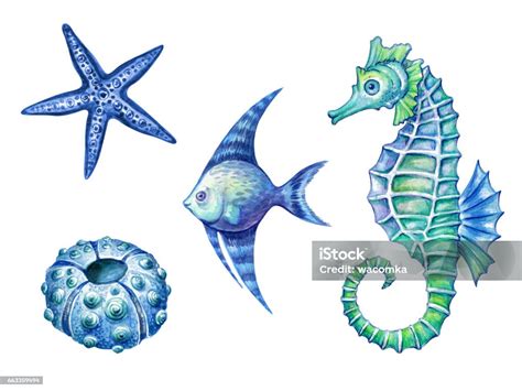 해상 요소 바다 생물 물고기 해마 성게 불가사리 수채화 그림 흰색 배경에 고립 해마 열대어에 대한 스톡 벡터 아트 및 기타 이미지 해마 열대어 수채화 일러스트레이션