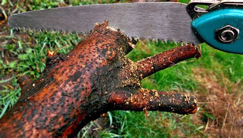 Sorting An Angular Material Table How To Use Matsort And Sortingdataaccessors Conclusion