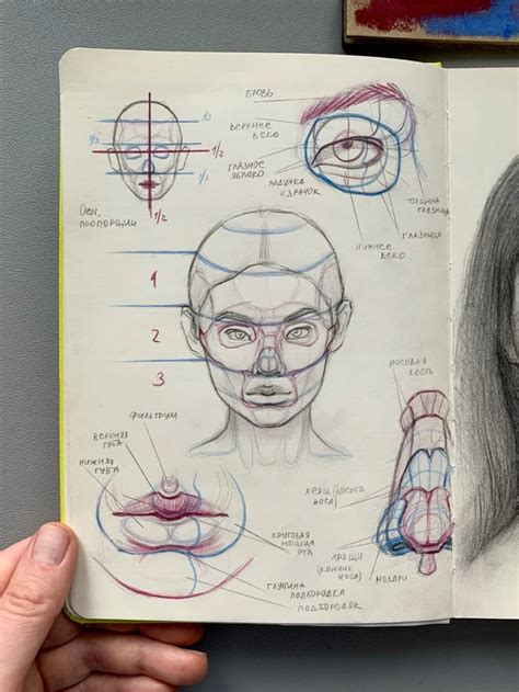 Портрет карандашом Рисунки лица Портретный рисунок Рисование портретов