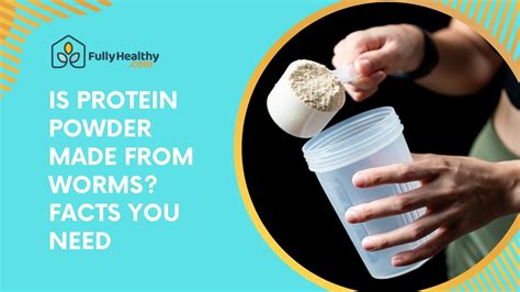 Is Protein Powder Made From Worms Facts You Need