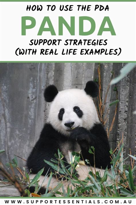 How To Use The Pda Panda Support Strategies Support Essentials