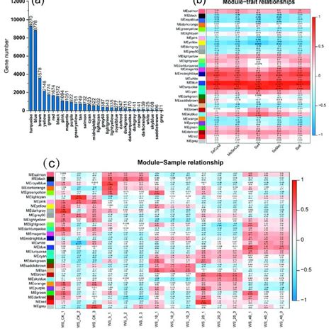 wgcna and module trait correlation analysis a the fitting index r 2