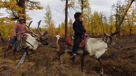 Mongolian Travel Delights Crooked Compass