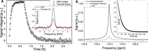 Dissolution Dynamic Nuclear Polarization Instrumentation For Real Time